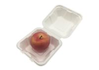 China 6 Inch Sugarcane Eco Hinged  Biodegradable Takeout Containers for sale
