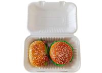 China 9×6 Inch Biodegradable To Go Food Containers for sale