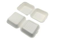 China 6×6 Inch 530ml 20g Biodegradable Food Boxes for sale