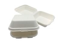 China 6×6 Inch 530ml 20g Biodegradable Food Boxes for sale