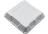 China 9 Inch Heavy Duty Biodegradable Takeout Containers for sale