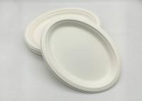 China 10 Inch 515ml Oil Resistance Biodegradable Sugarcane Bagasse Plates for sale