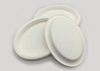 China 10 Inch 515ml Oil Resistance Biodegradable Sugarcane Bagasse Plates for sale