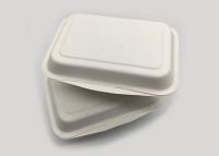 China 7×5 Inch Natural  Biodegradable Takeaway Food Containers for sale