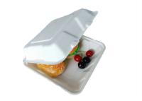 China Sugarcane Pulp Biodegradable Take Out Food Containers 9 Inch for sale