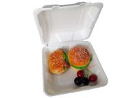 China Sugarcane Pulp Biodegradable Take Out Food Containers 9 Inch for sale