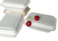 China Eco Friendly Bagasse Clamshell Containers 271x182x45mm for sale