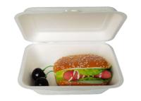 China Eco Friendly Bagasse Clamshell Containers 271x182x45mm for sale