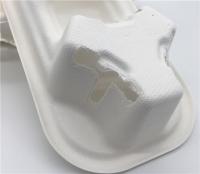 China Sugarcane 218x110x47mm 2 Compartment Drink Carrier Tray for sale