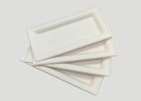 China Sugarcane Rectangle Dinner 10