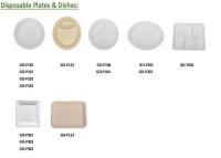 China 9 Inch 2 Compartment Biodegradable Sugarcane Bagasse Plates for sale