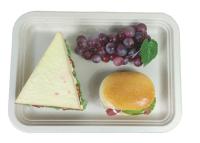 China Rectangle Biodegradable Food Trays for sale