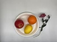 China Oilproof Natural White Biodegradable Sugarcane Bagasse Plates 9