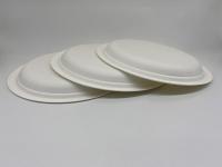 China Oilproof Natural White Biodegradable Sugarcane Bagasse Plates 9