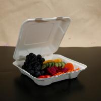 China 9 Inch 3 Compartment  Biodegradable Takeout Food Containers for sale