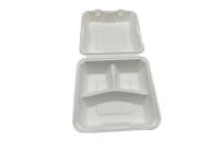 China 9 Inch 3 Compartment  Biodegradable Takeout Food Containers for sale