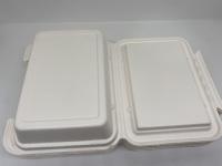 China Renewable 9x6 Inch 39g Biodegradable Takeout Containers for sale