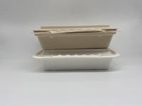 China Renewable 9x6 Inch 39g Biodegradable Takeout Containers for sale
