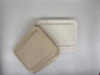 China Renewable 9x6 Inch 39g Biodegradable Takeout Containers for sale