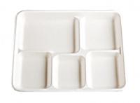 China Bagasse Biodegradable Food Trays for sale