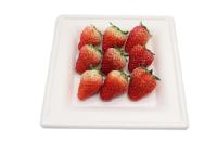China Square Sugarcane Pulp Plates for sale