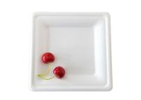 China Square Sugarcane Pulp Plates for sale