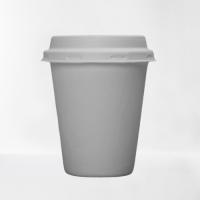 China Bagasse Molded Pulp Leakproof 8oz 250ml Biodegradable Cups And Lids for sale