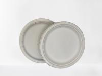 China Oilproof Natural White Biodegradable Sugarcane Bagasse Plates 9