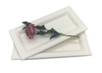 China Sugarcane Rectangle Dinner 10