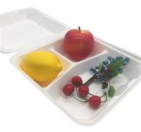 China 8 Inch 38g Clamshell Biodegradable To Go Containers for sale