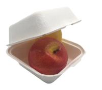 China Bento   6x6 Inch 21g  Biodegradable Boxes For Food for sale