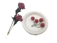 China Disposable 6/ 7 /8.75/9 10 Inch Biodegradable Sugarcane Bagasse Plates for sale