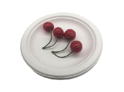 China Food Grade Biodegradable Sugarcane Bagasse Plates Round Eco-friendly Food Container for sale