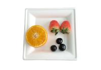 China Disposable Dinnerware 10 Inch Square Sugarcane Pulp Plates for sale