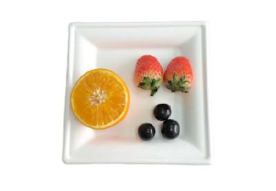 China Disposable Dinnerware 10 Inch Square Sugarcane Pulp Plates for sale