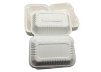China Sugarcane  9×6 Inch 33g To Go Containers Biodegradable for sale