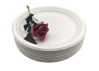 China 9 Inch Snack 100% Natural Sugarcane Compostable Plates for sale
