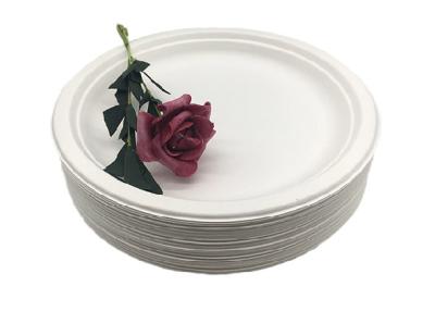 China 9 Inch Snack 100% Natural Sugarcane Compostable Plates for sale