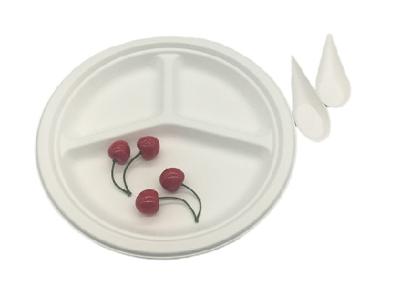 China 9 Inch 16g 100% Biodegradable Sugarcane Bagasse Plates for sale