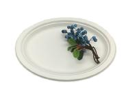 China 10 Inch 515ml Oil Resistance Biodegradable Sugarcane Bagasse Plates for sale
