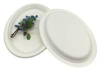 China 12 Inch  Refrigerable  Christmas Oval Sugarcane Paper Plates for sale