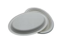 China 10/12 inch Biodegradable Sugarcane Bagasse Plates for sale