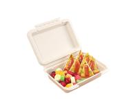 China Clamshell 9×6 Inch Biodegradable Microwavable Food Containers for sale