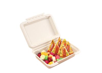 China Clamshell 9×6 Inch Biodegradable Microwavable Food Containers for sale