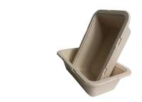 China 10×6 Inch  1050ml 35g Biodegradable Salad Boxes for sale