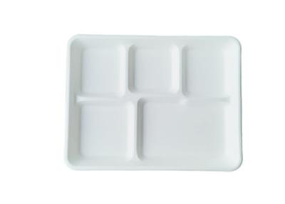 China 5 Compartment Biodegradable Serving Trays for sale