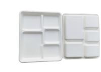 China 5 Compartment Biodegradable Serving Trays for sale