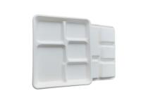 China 5 Compartment Biodegradable Serving Trays for sale