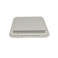 China Renewable 9x6 Inch 39g Biodegradable Takeout Containers for sale
