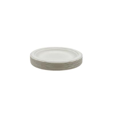 China Oilproof Natural White Biodegradable Sugarcane Bagasse Plates 9